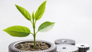 Qué es desarrollo sostenible: definición, objetivos y ejemplos